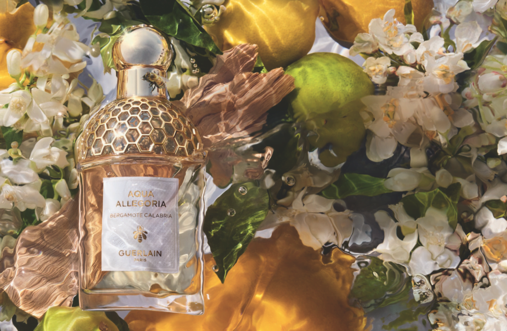 The World Is Our Garden - KNOKKE TALKS.
